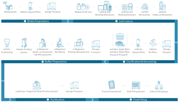 Monoclonal Antibody – LePure Biotech®