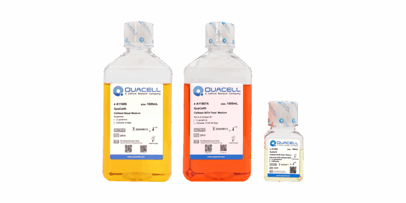 QuaCell® CellBest Basal Medium – LePure Biotech